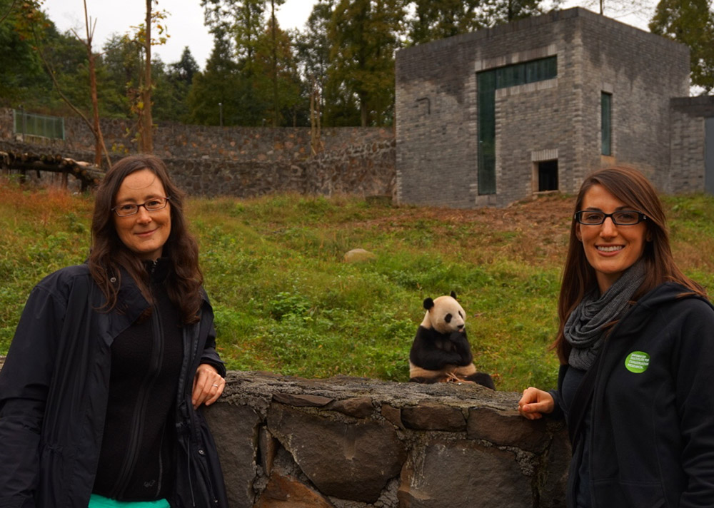 A Successful Giant Panda Workshop – San Diego Zoo Wildlife Alliance Stories